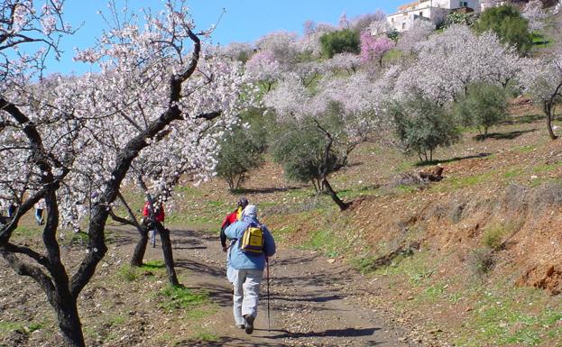 Las rutas del Almendro en Flor que no te puedes perder | Ideal