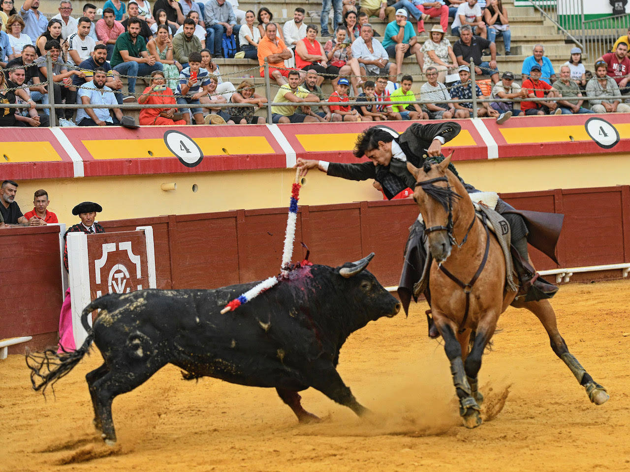 Fotos: Las imágenes de la corridas de toros de Vera | Ideal