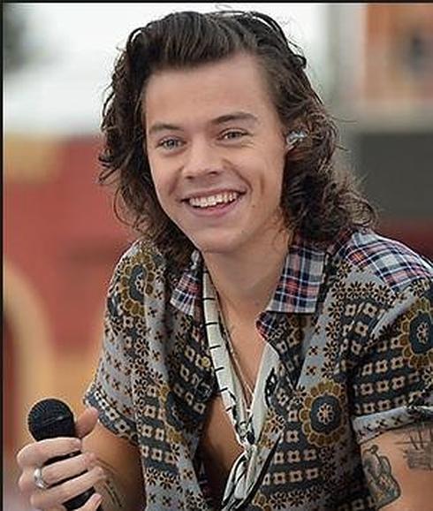 Harry Styles será el 'nuevo Christian Grey' en el cine | Ideal