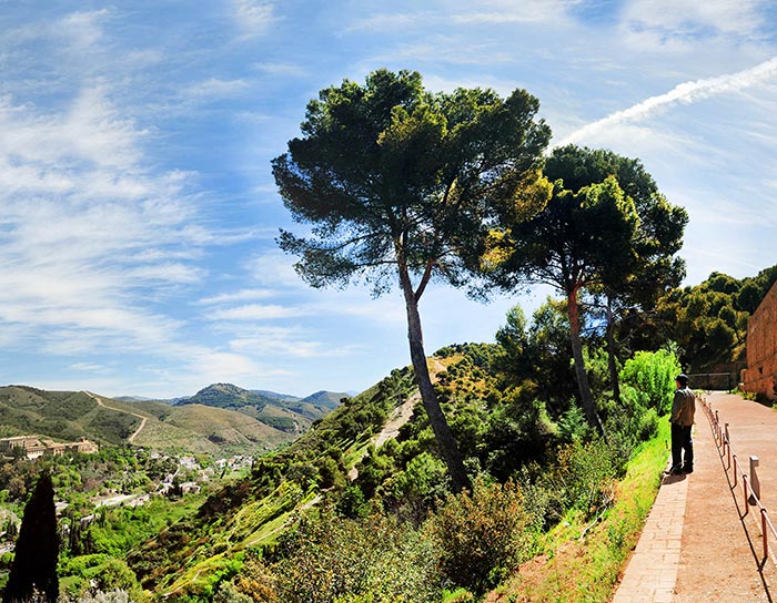 La colina donde nace el sol | Ideal